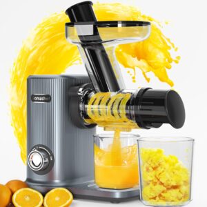 masticating cold press juicer machines: easy clean small mouth cold pressed juicers for fruit - kitchen aid professional juicing estractor for vegetales - slow speed electric horizontal juice presser