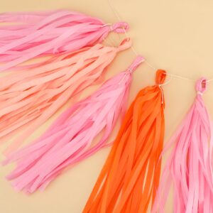 Pink Orange Peach Tissue Paper Tassels 15 Pcs Garland Banner Party Tassel Paper Tassels for Party Decorations Birthday Baby Bridal Shower