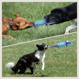 LEGEND SANDY Dog Toy for Aggressive Chewers, Squeaky Dog Toys for Large Dog, Tug of War Dog Toy to Keep Them Busy, Plush Stuffed Animals Dog Chew Toy for Large Breeds, Puppy Chew Toys for Teething