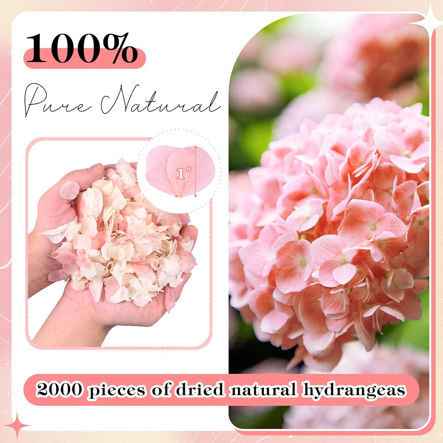 VAIPI 2000 Pieces Hydrangea Flower Petals 1.41 oz Pink White Real Nature Dried Flower Petal for Weddings, Party Flower Confetti, Valentine's Day, Flower Girl Baskets, Romantic Night, Proposal Decor