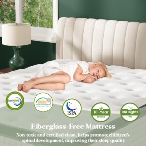 Queen Mattress, 14-Inch Luxury Hybrid Mattress, Fiberglass-Free Mattress in a Box with Gel-infused Memory Foam, Individual Pocket Spring for Motion Isolation-Edge Support,CertiPUR-US,10-Year Warranty