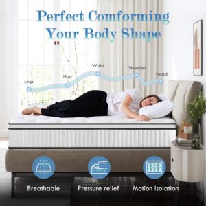 Wellynap Twin Mattress,10 Inch Twin Size Mattress,Hybrid Mattress Twin in a Box,Individually Pocketed Innerspring,Fiberglass-Free Mattress,Medium Firm120 Nights Risk-Free Trial