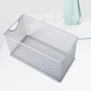 JISADER CD Storage Box,Metal Mesh Basket Multifunction Countertop Basket,Mesh Open Storage Bin for Garage Household, Bedroom, Laundry, Silver