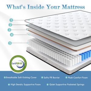 Wellynap King Mattress,10 Inch King Size Mattress,Hybrid Mattress King in a Box,Individually Pocketed Innerspring,Fiberglass-Free Mattress,Medium Firm120 Nights Risk-Free Trial