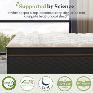 FP FLEXPEDIC Full Mattress, 14 Inch Plush Hybrid Mattress with Gel Memory Foam, Fiberglass-Free Mattress in a Box, Individual Pocket Spring-Motion Isolation-Edge Support, 100 Nights Trial,CertiPUR-US