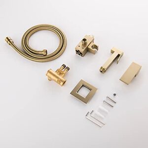 MINJING Bidet Sprayer Brushed Gold, Handheld Cloth Diaper Sprayer, Brass Bidet Faucet Warm Water, Bidet Attachments for Toilet Washing, Feminine Hygiene