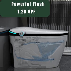 WinZo Luxury Smart Toilet, 1.28 Intelligent Bidet Toilet with Auto Flush, Heated Seat with Warm Water and Dryer, Modern Tankless Design with Remote Control, Night Light, White