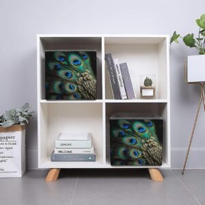 Peacock Feather Printing Storage Basket Folding Storage Bins Fabric Cube Organizer With Handle For Closet Utility Room