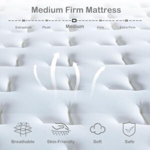 Lynnbery Queen Size Mattress, 12 Inch Hybrid Mattress with Memory Foam and Individual Pocket Springs for Motion Isolation, Pressure Relief, Medium Firm Feel, Mattress in a Box,60"*80"*12"