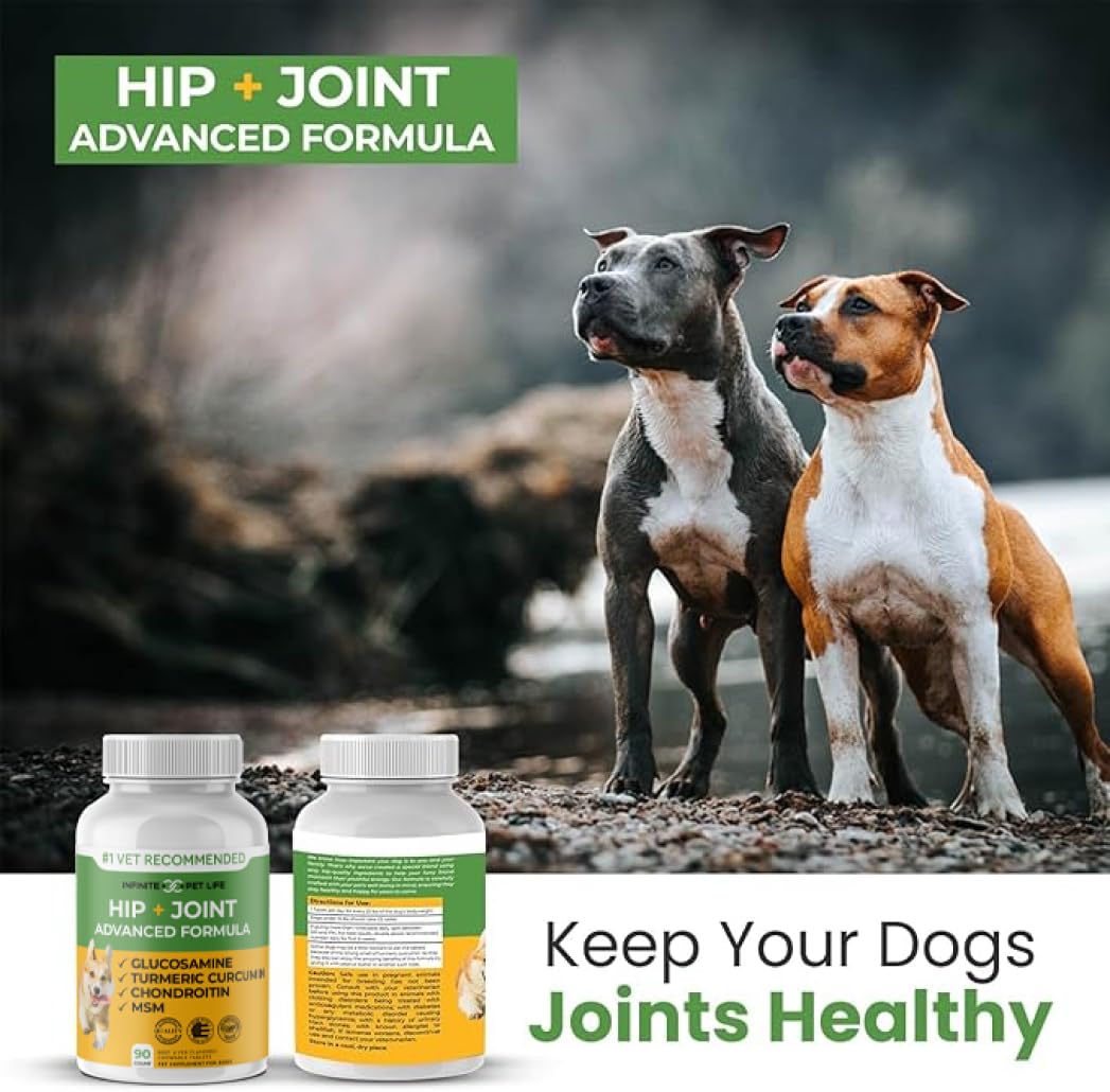 Advanced Hip and Joint Supplement for Dogs Large Breed - Glucosamine for Dogs Mobility & Pain Relief - Chondroitin, MSM & Turmeric | Bundle Pack(Chewable Tablets + Powder)