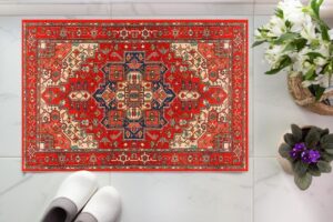 washable area rug living room, bedroom, bathroom, kitchen vintage chenille rug animal-friendly 0602_red (2' x 3')