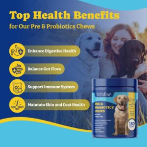 Dog Probiotics for Gut, Immune & Skin Health + Fish Oil Chews for Anti-Inflammation, Skin & Coat Health - 180 Soft Chews