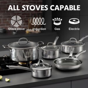 Frying Pans Nonstick with Lid,Hybrid Non Stick 5 Quart Saute pan,PFOA Free Cookware,Stainless Steel skillet,12 inch Deep Saute Pan,Dishwasher and Oven Safe,Works on Induction,Ceramic and Gas Cooktops