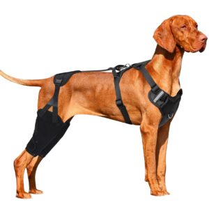 huimpet dog knee leg brace, dog acl brace for back hind rear leg, dog leg support brace for torn acl tear, luxating patella, hip dysplasia and dog arthritis, adjustable (large)