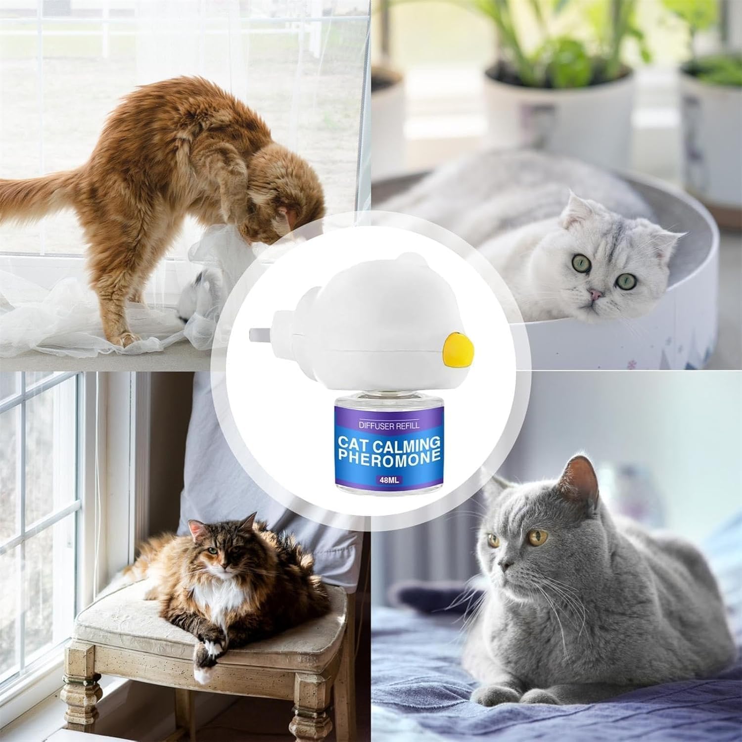 RHUTQP Blisso Cat Diffuser,Cat Calming Pheromone Diffuser,Cat Calming Diffuser,Cat Pheromones Calming Diffuser,Cat Anxiety Relief,Reduce Fighting and Scratching Calm Relaxing (60days)