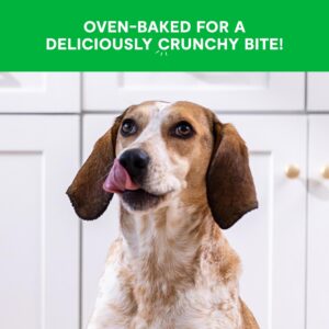 Open Farm Better Biscuits, Oven Baked Dog Treats with Probiotics, Wild-Caught Salmon & Oatmeal Recipe, 8oz Pouch