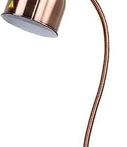 LINKANRUO Heat Lamp Food Warmer Kitchen Heat Lamp, Hotel Kitchen, Cafeterias Food Heat Lamp Food Heat Reference Table Lamp Display Stand Lamp Hood Cutting Lamp Lamps(Bronze,Double Head)