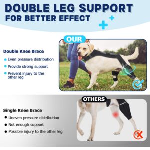 Dog Double Knee Brace for Torn ACL Hind Legs, Non-Slip Dog Double Leg Brace for Back Legs with Comfort Vest, Enhanced Stability Dog ACL Hip Brace with 2 Metal Strips for Ligament Injuries（Black,1-C)