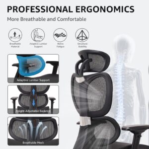 Ergonomic Office Chair with Lumbar Support, Rolling Desk Chair with 3D Adjustable Armrest Lumbar Support, Big and Tall Office Chair, Executive Swivel Chair, Wide Office Chair, 375LBS, Black