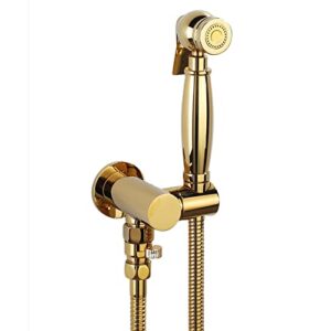 ifgswopq toilet sprayer bidet handheld bidet sprayer toilet bidet shower hose cold water brass gold douche spray kit for women,b (b)