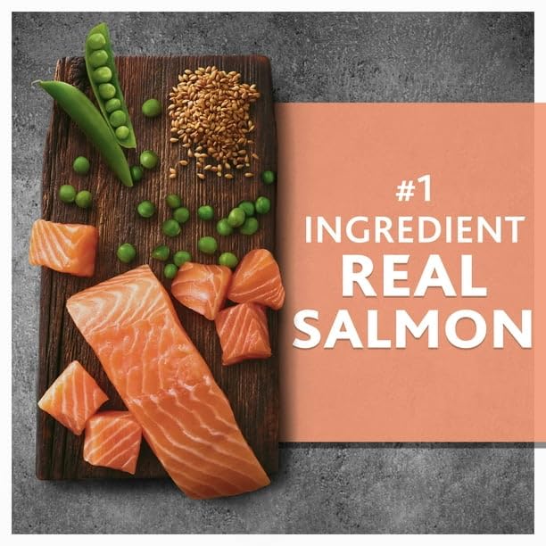 FYNORI Wild & Free Salmon & Pea Recipe Dry Dog Food, Grain-Free, 4 Lbs, Natural with Added Vitamins, Minerals, and Other Trace Nutrients