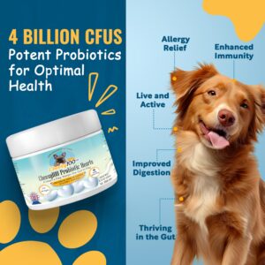 Cheesy100 Probiotic Dog Treats - Gentle Freeze-Dried Yogurt Hearts with 4 Billion Live Cultures