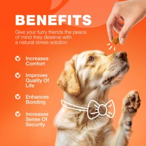 Glucosamine for Dogs - Joint Supplement for Dogs - Glucosamine Chondroitin Dog Chews with MSM - Dog Hip and Joint Supplement - Hemp Hip and Joint Chews for Dogs - Mobility, Skin & Coat Health Treats