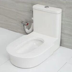 ceramic toilet, squatting dual-use one-piece dual-use double flush toilet with stainless steel bidet attachment for toilet seat bidet (300mm) ()