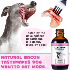 2Pack Collagen for Dogs,Liquid Collagen for Dogs,Collagen Supplement for Dogs,Collagen Boost for Dogs with Biotin, MSM & Ginger,Delicious Bacon Flavor,2 Fl Oz