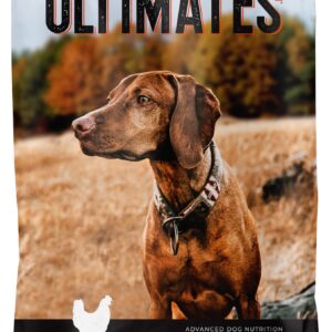 Ultimates Large Breed Adult Dry Dog Food (40 lb. Bag)