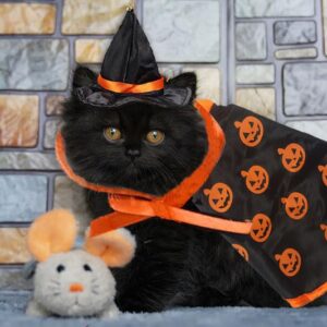 Halloween Cat Costume Cloak Witch Hat Pet Accessories Halloween Adjustable Pumpkin Pet Costume Clothes Set, Halloween Pet Costume Decor Cloak for Cats Dogs Animal Halloween Carnival Party Supplies