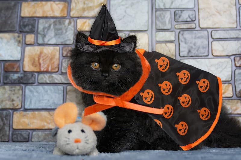 Halloween Cat Costume Cloak Witch Hat Pet Accessories Halloween Adjustable Pumpkin Pet Costume Clothes Set, Halloween Pet Costume Decor Cloak for Cats Dogs Animal Halloween Carnival Party Supplies