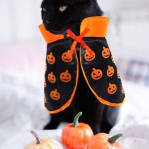 Halloween Cat Costume Cloak Witch Hat Pet Accessories Halloween Adjustable Pumpkin Pet Costume Clothes Set, Halloween Pet Costume Decor Cloak for Cats Dogs Animal Halloween Carnival Party Supplies