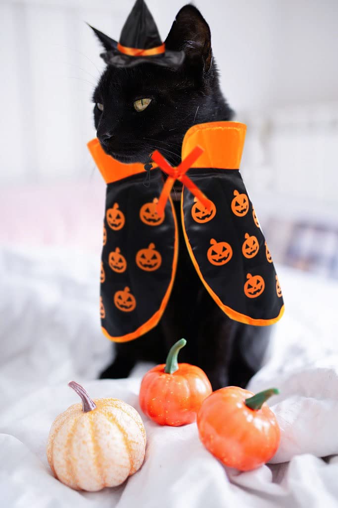 Halloween Cat Costume Cloak Witch Hat Pet Accessories Halloween Adjustable Pumpkin Pet Costume Clothes Set, Halloween Pet Costume Decor Cloak for Cats Dogs Animal Halloween Carnival Party Supplies