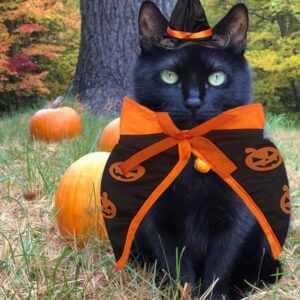 Halloween Cat Costume Cloak Witch Hat Pet Accessories Halloween Adjustable Pumpkin Pet Costume Clothes Set, Halloween Pet Costume Decor Cloak for Cats Dogs Animal Halloween Carnival Party Supplies