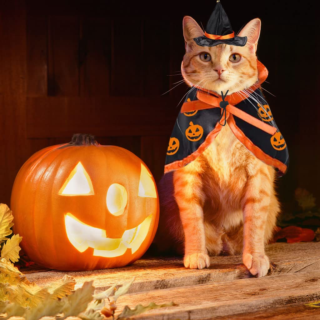 Halloween Cat Costume Cloak Witch Hat Pet Accessories Halloween Adjustable Pumpkin Pet Costume Clothes Set, Halloween Pet Costume Decor Cloak for Cats Dogs Animal Halloween Carnival Party Supplies