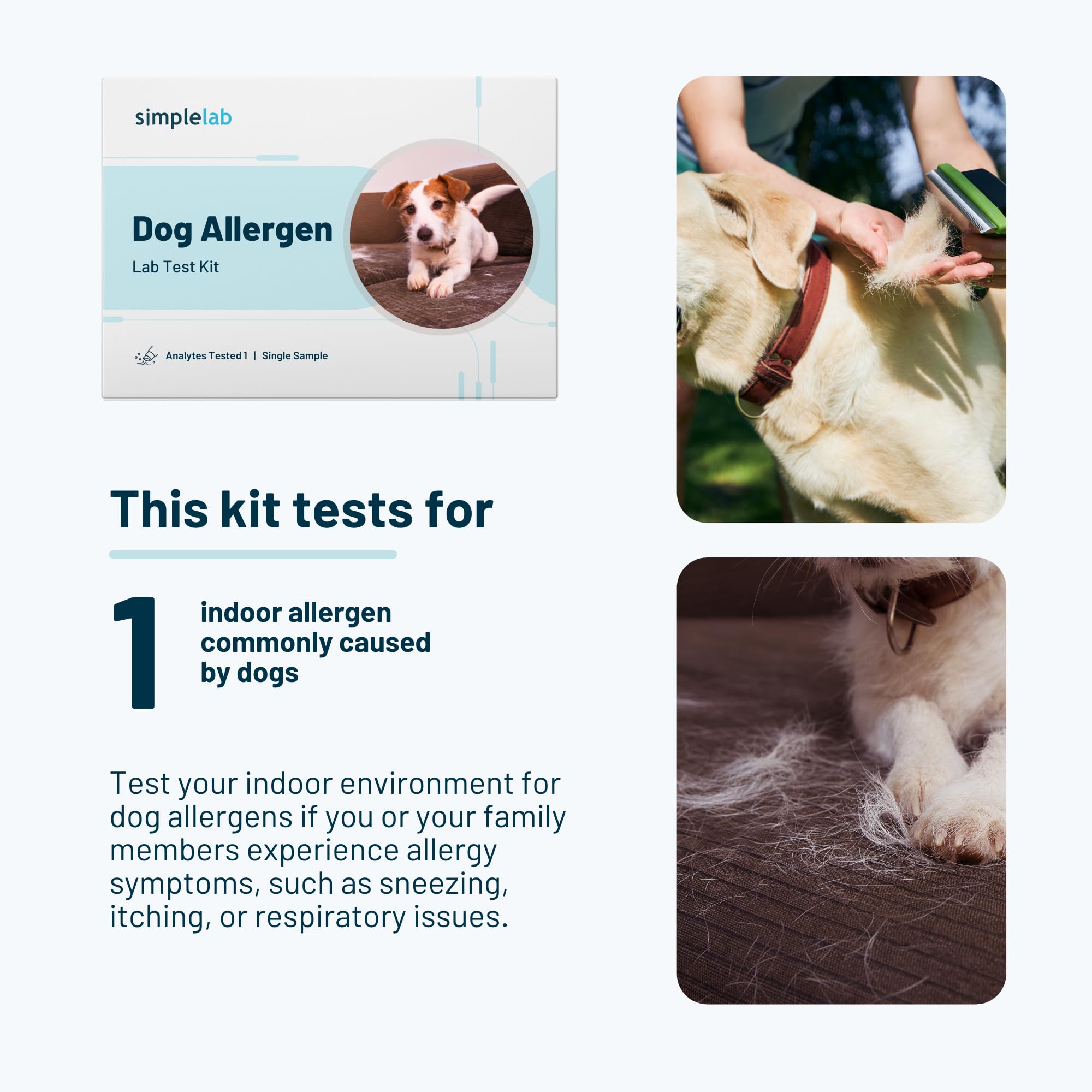 Dog Allergen Test by SimpleLab | Indoor Pet Allergen Testing Kit | Test for 1 contaminant to Identify Dog Allergies | Laboratory Test Kit | at Home Dust Test Kit