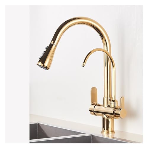 Purifying Kitchen Faucet 360 Degree Rotating Filter Sink hot and Cold Water Mixing Faucet(Gold)