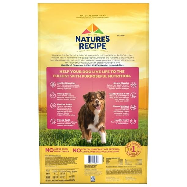 Grain Free Salmon, Sweet Potato & Pumpkin Recipe, Dry Dog Food, 24 Lb, No Artificial Flavors, Colors, Or Preservatives