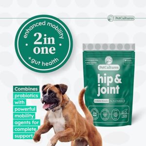 PetCultures Dog Arthritis Supplement with Glucosamine for Dogs Hip and Joint Supplement, Made in USA, 2 Bil CFU Probiotics, 6 Strains, Prebiotics, Chondroitin, MSM, Joint Support for Dogs