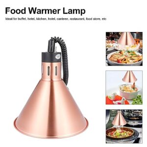 CHANGLKJ Hanging Food Warmer Light, 250W Buffet Hanging Heat Lamp with Retractable Cable, Telescopic Range 60-180cm and Fast Heat Dissipation, Durable Beautiful, for Cafeteria, Restaurant, Hotel