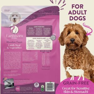 Earthborn Holistic Meadow Feast Grain-Free Natural Dry Dog Food (2 Bags - 50 Pounds Total)