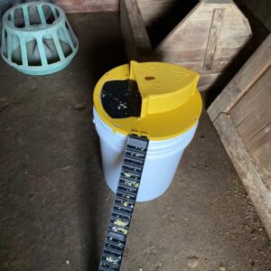 Mouse Trap Bucket Bucket Lid Mouse Trap, 5 Gallon Bucket Compatible, Mouse Catching Tool, Trap Door Style, Multi Catch, Auto Reset, Indoor Outdoor (2PC-Yellow)