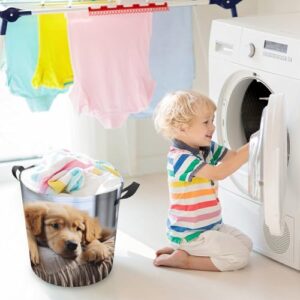 Laundry Hamper Lazy Dog Puppy Freestanding Laundry Basket Thickened Waterproof Collapsible Clothes Hamper Storage for Clothes Toys Dorm And Family