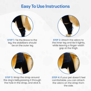 YSPet Premium Dog ACL Knee Brace for Torn ACL, CCL - Dog Knee Brace with Adjustable Straps -Universal for All Four Legs for Recovery and Stability