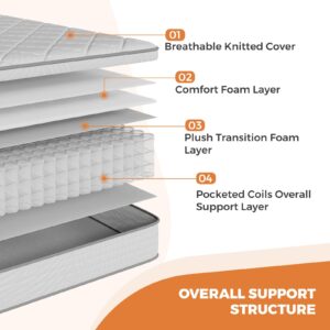 Sweetnight Queen Mattress, 12 Inch Hybrid Mattress in a Box with Comfort Foam, Individually Wrapped Pocket Innerspring for Motion Isolation & Pain Relief, CertiPUR-US Certified Queen Size Mattress