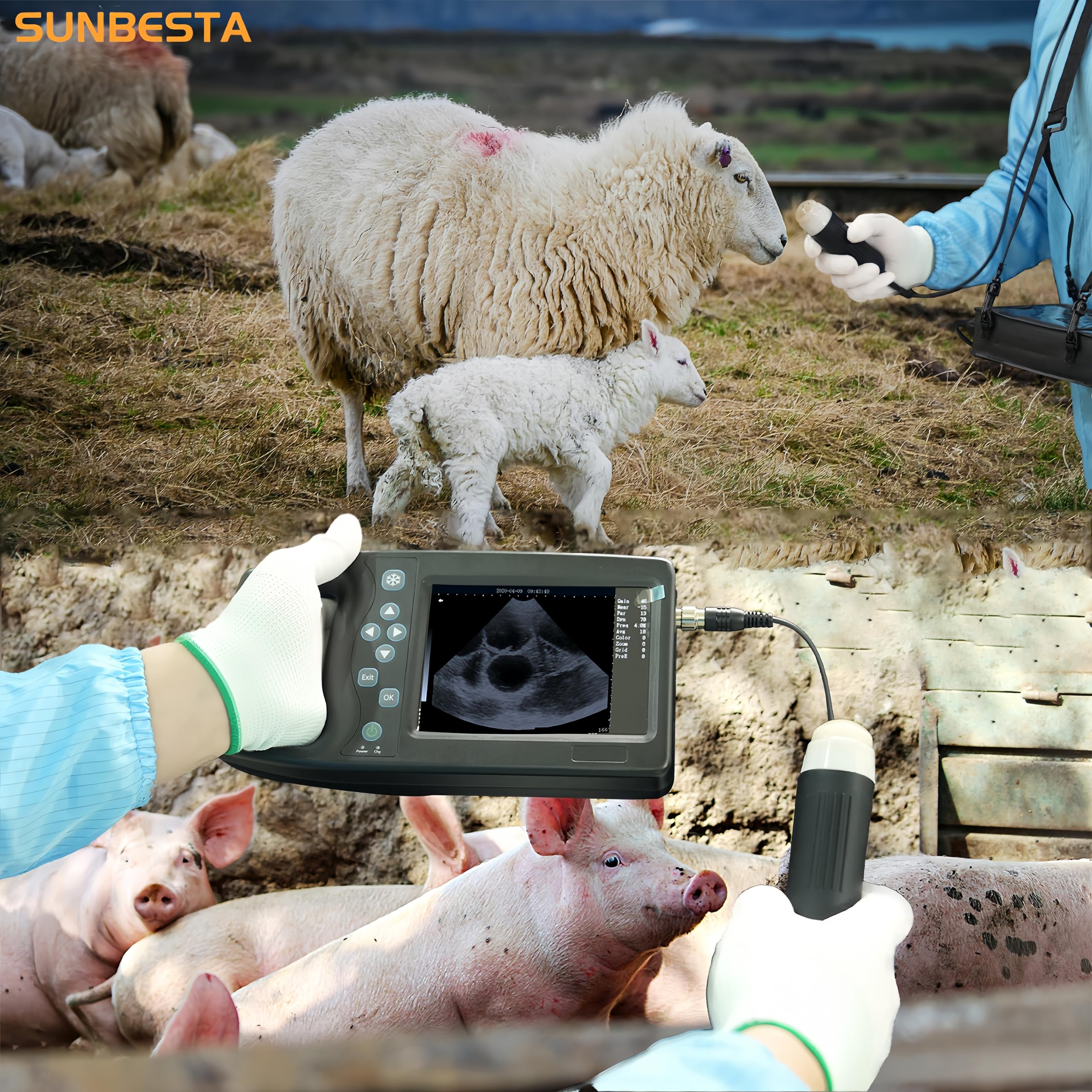 SUNBESTA Veterinary Ultrasound Machine Lightweight, Portable Design with 5.7 Inch LCD Screen, 3.5MHz High Frequency Mechanical Probe for Pregnant Pigs, Sheep and Goats Only