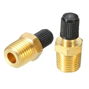 Zaagot 1/4" NPT for Tank for Anti-Corrosion Brass Schrader for Using with Air Compressor Tanks Fitting for Car Auto Brass