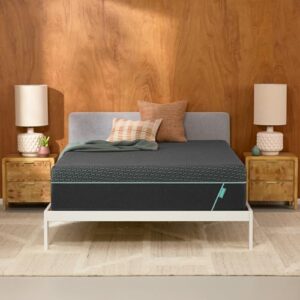 tuft & needle mint hybrid medium plush king size mattress in a box, cooling adaptive foam, pocketed coil support, 100 night trial, fiberglass free, certipur-us, 10-year limited warranty