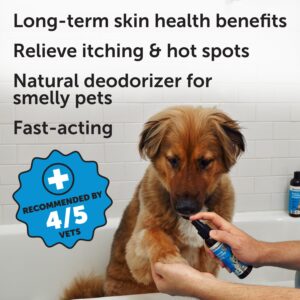 Pet Honesty Restore + Soothe Hot Spots Spray for Dogs & Cats (Lavender) 4oz + Allergy Support Itch Relief for Dogs - Dog Allergy Chews with Probiotics for Seasonal Allergies, Skin and Coat Supplement